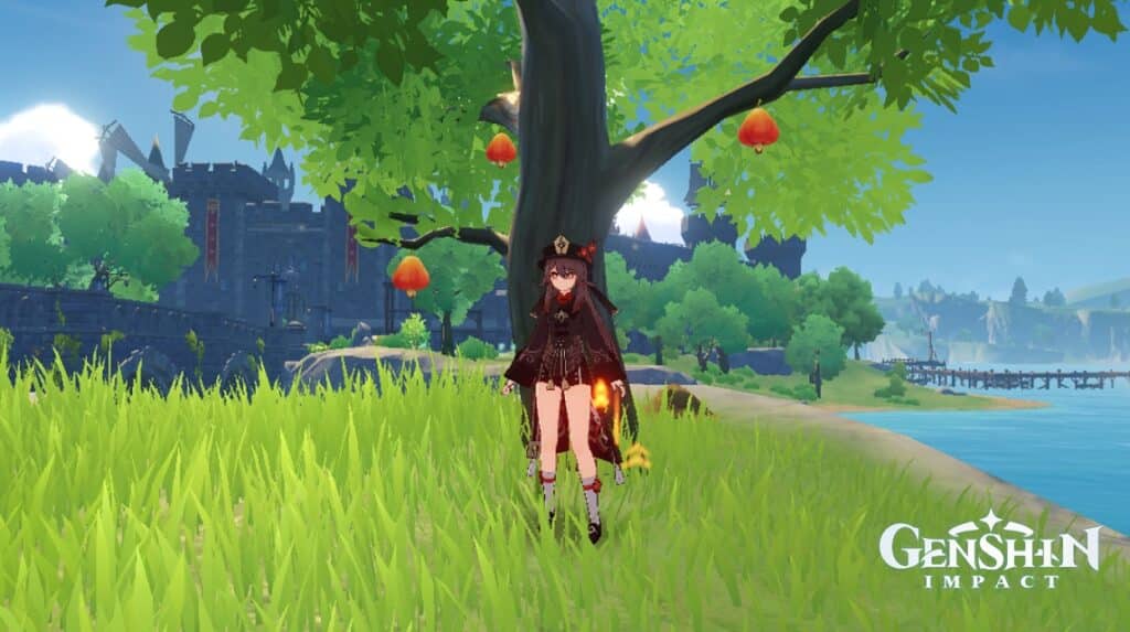 This is How to Farm Sunsettia Genshin Impact, a Multifunctional Item!