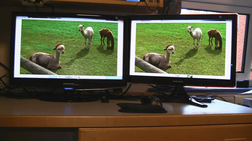 Simak! Rekomendasi Monitor Terbaik Untuk Segala Keperluan!