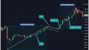 Explanation of Bullish Flag for Profit!
