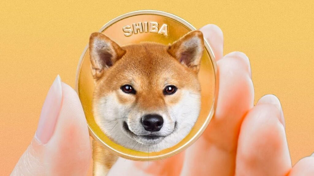 Comparison Between Shiba Inu Vs Doge Coin