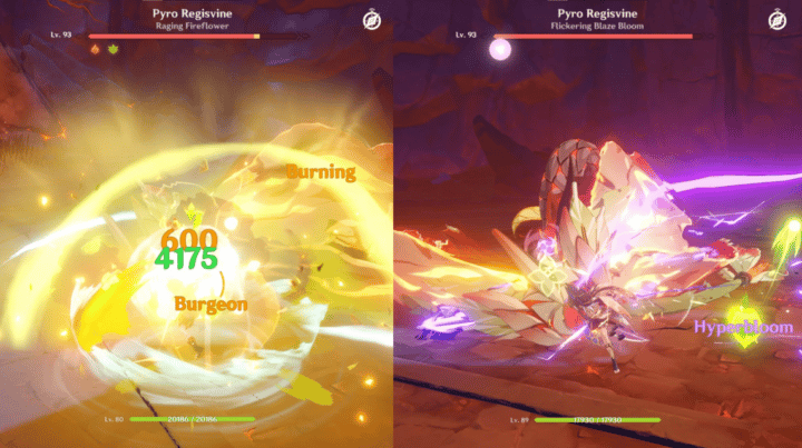 Rekomendasi DPS untuk Tim Burgeon Genshin Impact