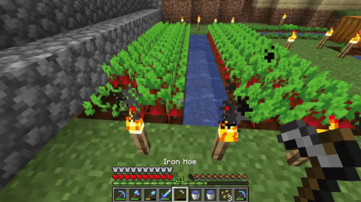 Kegunaan dan Cara Mendapatkan Beetroot di Minecraft 1.19