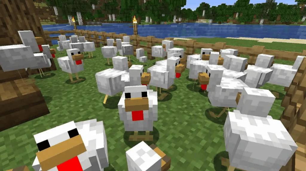 Penjelasan dan Cara Beternak Ayam di Minecraft, Wajib Hafal!